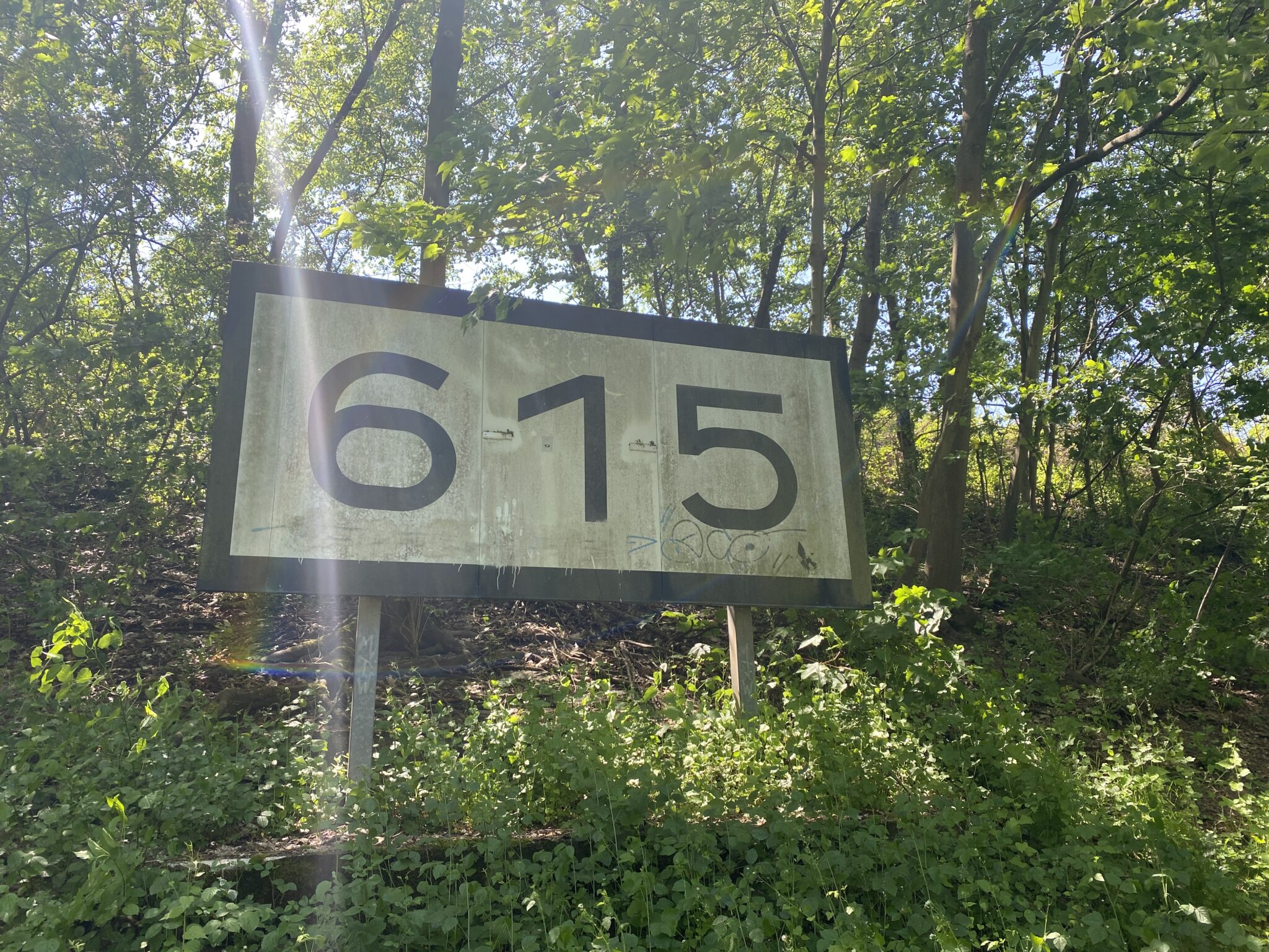 fakten-zur-zahl-615
