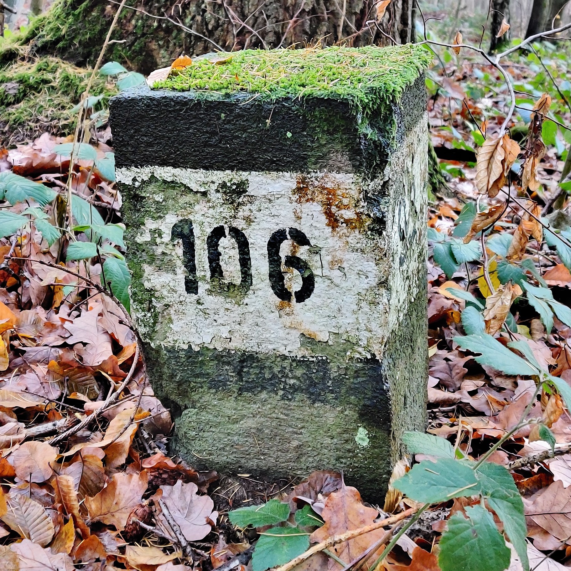 Fakten zur Zahl 106 - das BlogMagazin Fakten zur Zahl 106 - das BlogMagazin