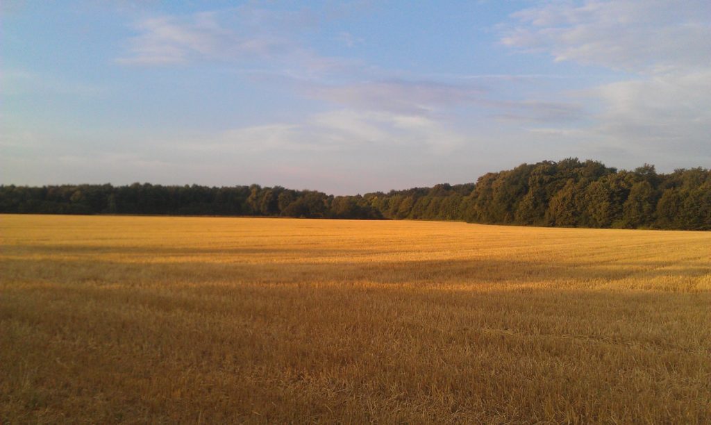 10 Fakten zum Monat Juli