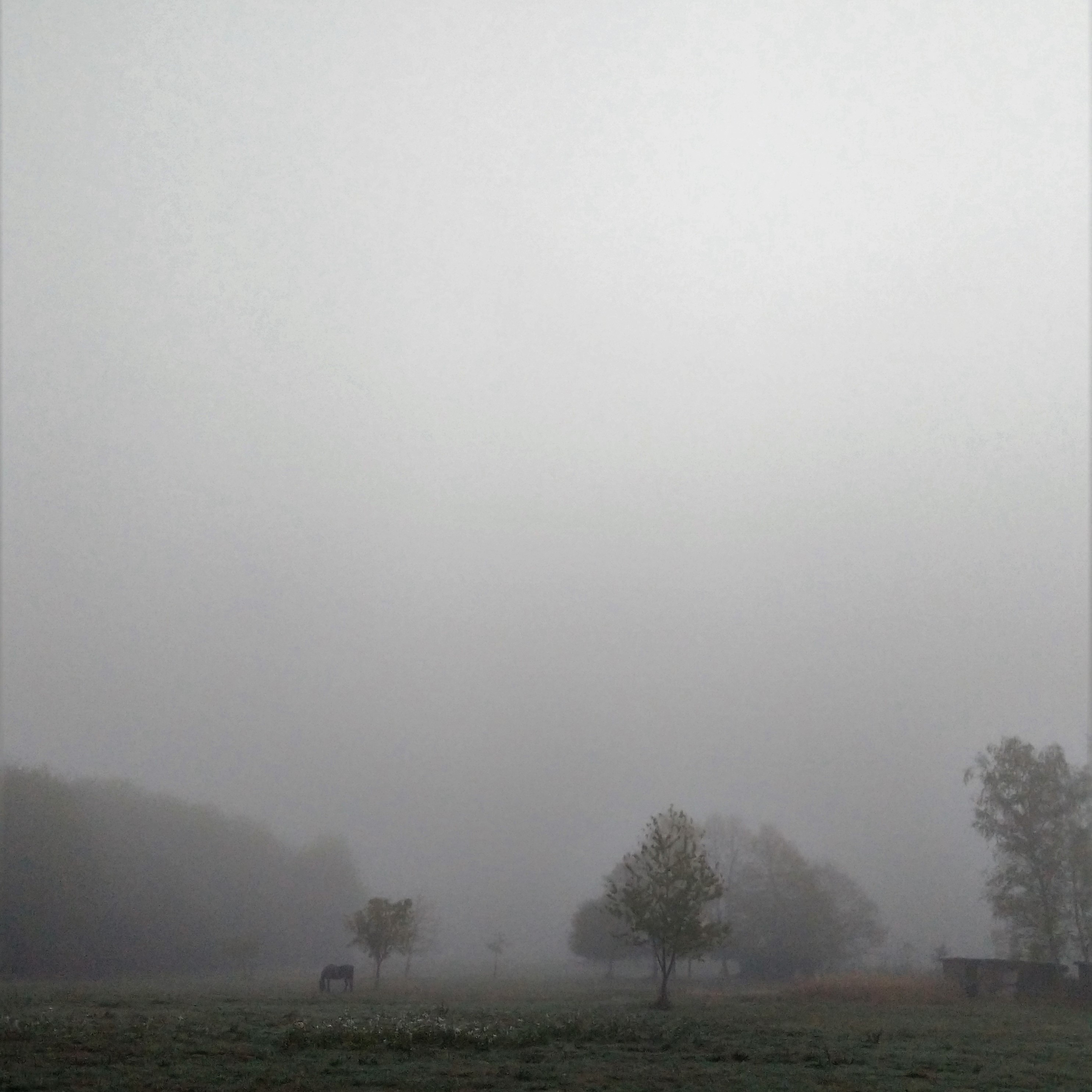 10 Fakten zum Monat November