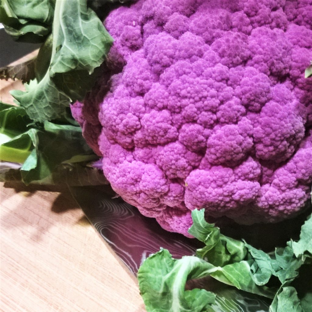 Lila Blumenkohl