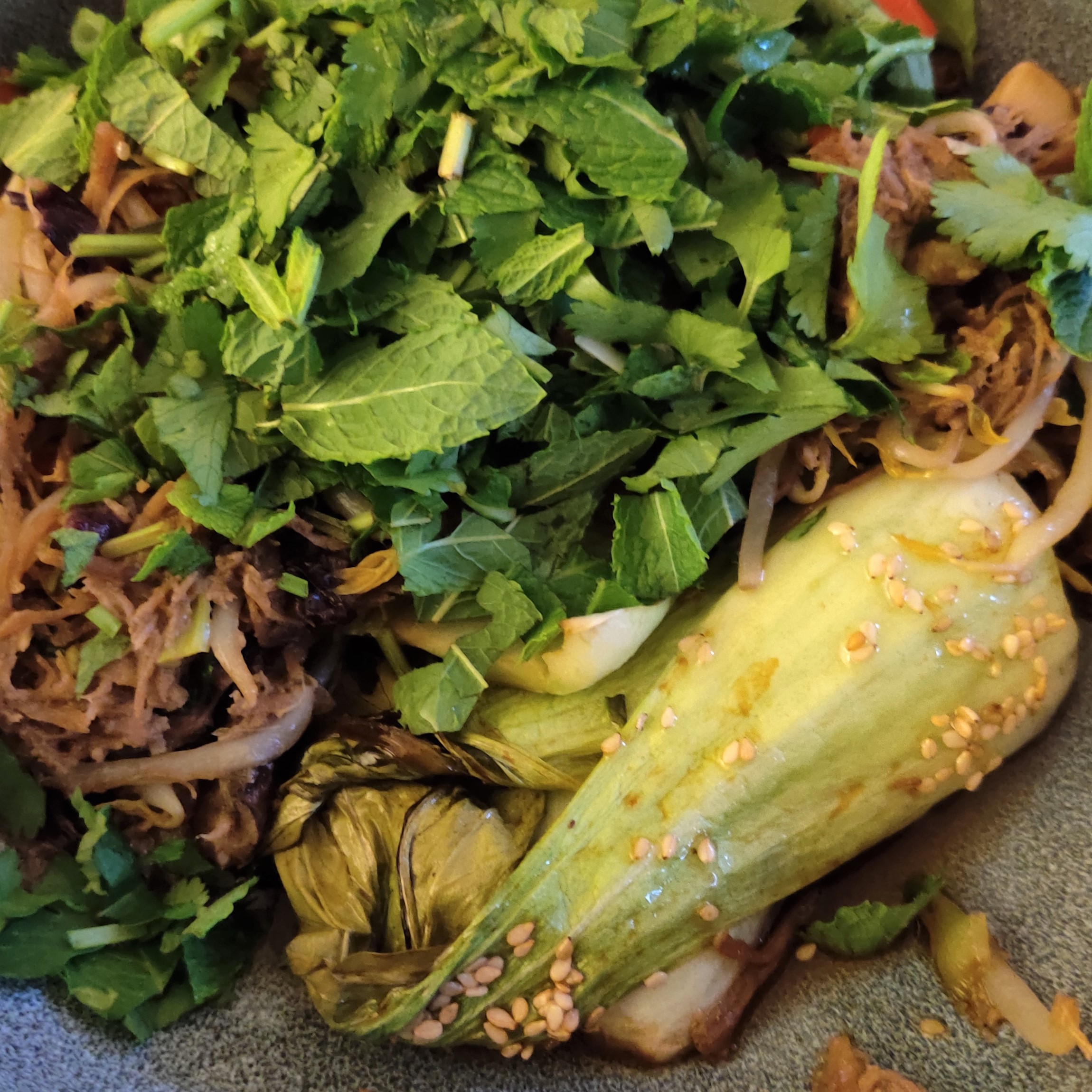 Mein Abendessen: Pulled Beef mit Pak Choi